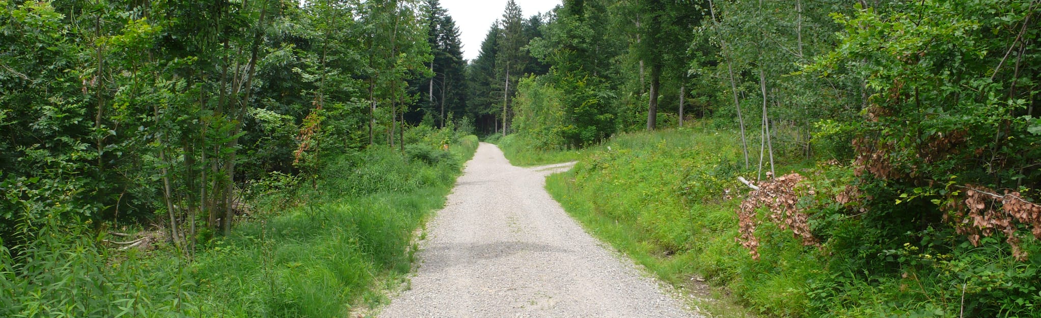 Ehrendingen - Beinwil am See | Map, Guide - Aargau, Switzerland | AllTrails