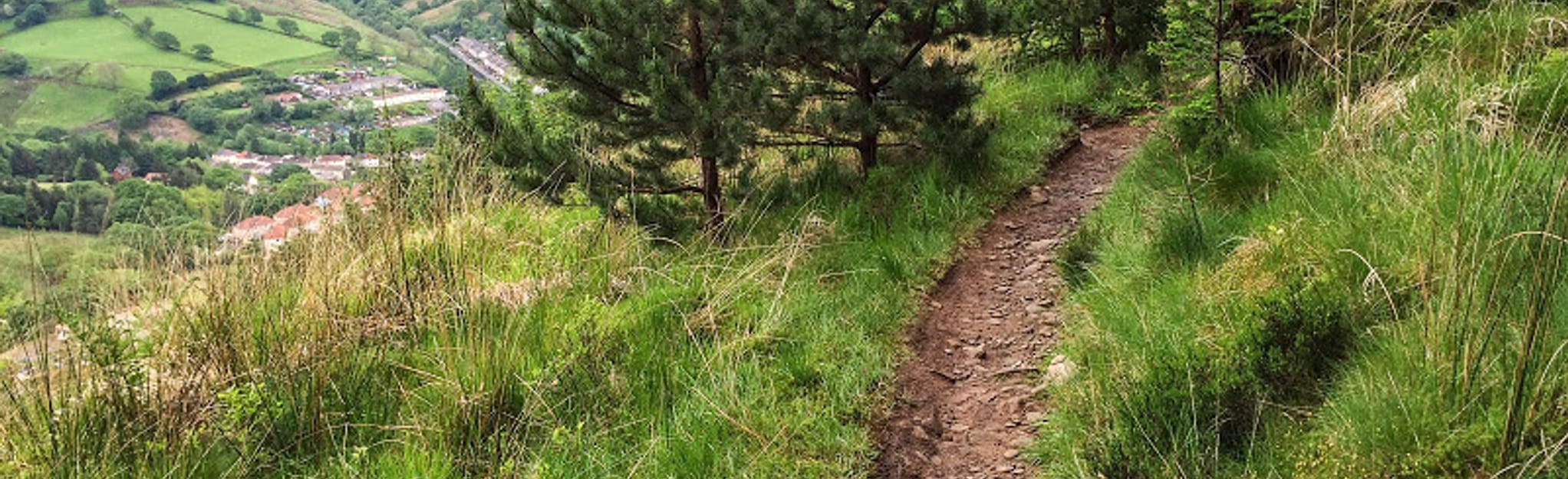 Afan Forest and Rheola Forest Circular: 3 Reviews, Map - Bridgend ...