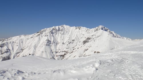 2023 Best Wild Flowers Trails in Serina | AllTrails