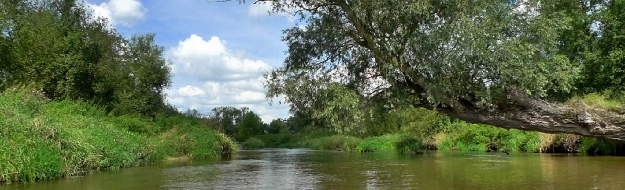 Rivière Nida: Tokarnia - Morsko Dolne : 28 Photos - Voïvodie de Sainte ...