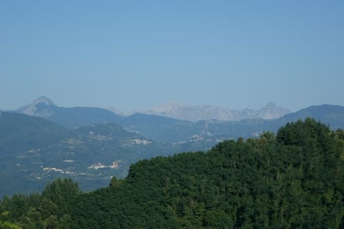 2023 Best Forest Trails in Gallicano | AllTrails