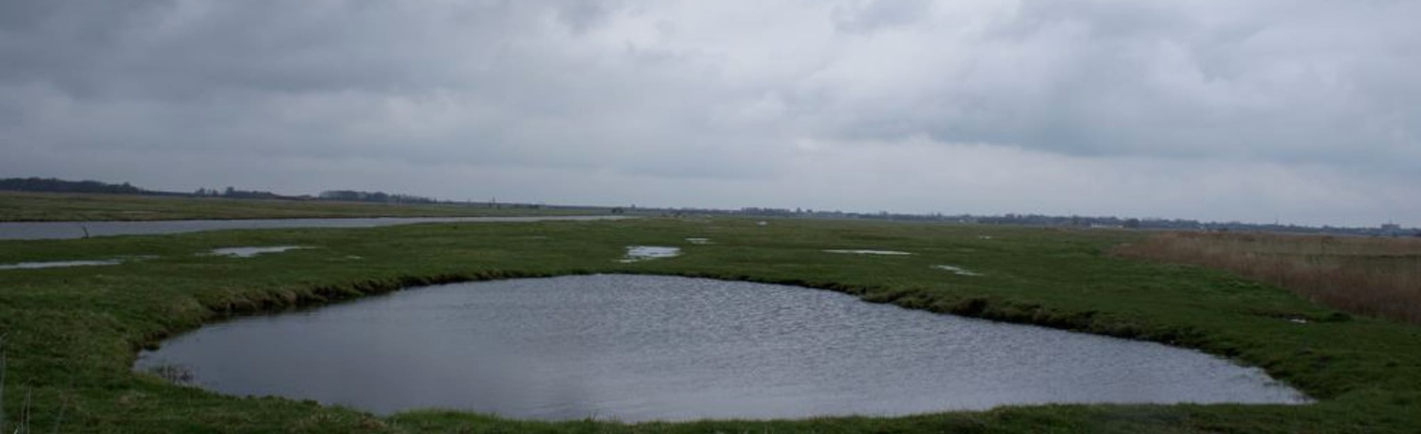 AllTrails | Yerseke Moer West: 1 Reviews, Map - Zeeland, Netherlands