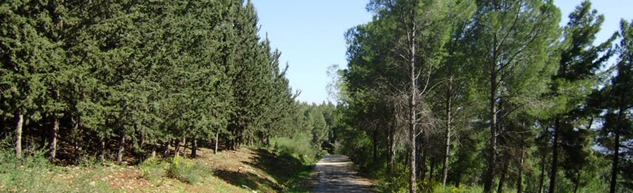 Metzudat Koach to Kfar Bloom via Kfar Giladi, Northern District HaZafon ...