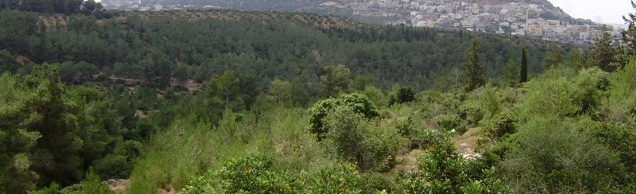 Ein Mahel to Mount Devora: 2 Reviews, Map - Northern District HaZafon ...