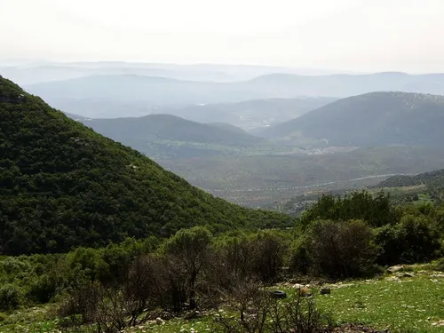 10 Best Easy Trails in Har Meron Nature Reserve | AllTrails