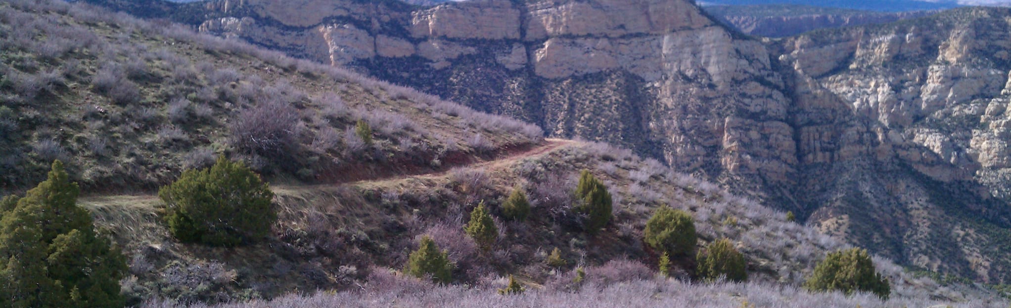 Dowd Mountain and Hideout Camp, Utah - 7 Reviews, Map | AllTrails