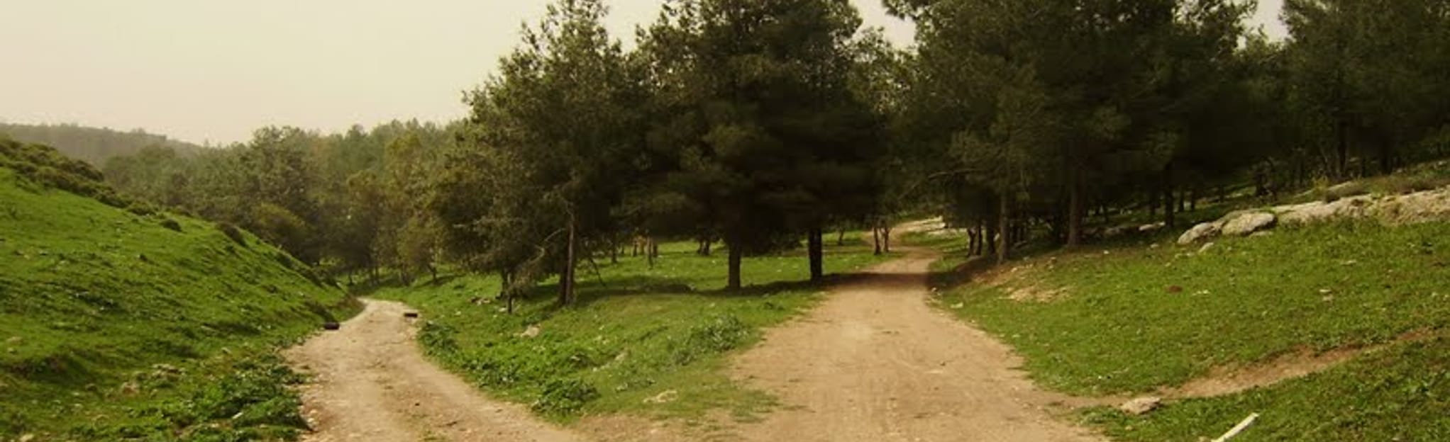 Kfar Manda to Ibilin via Shefaram Forest, Northern District HaZafon ...