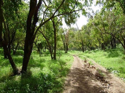 Best Hikes And Trails In Gilboa Forest Alltrails