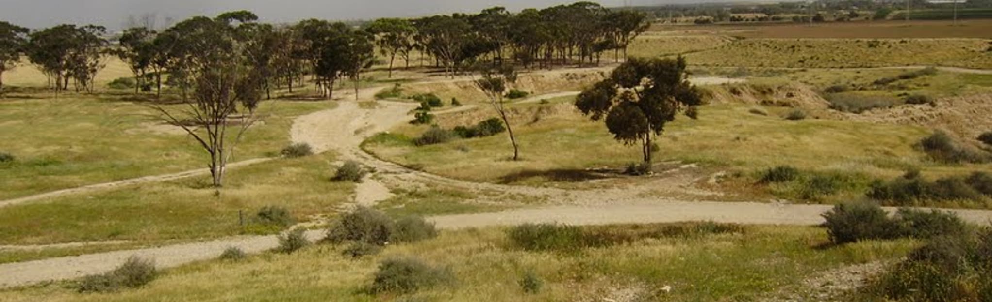סינגל אופקים וחצרים - Southern District HaDarom, Israel | AllTrails