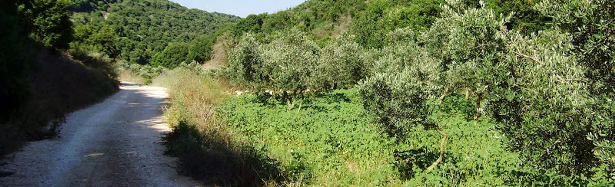 Tel Yodfat and Har Azmon | Map, Guide - Northern District HaZafon ...