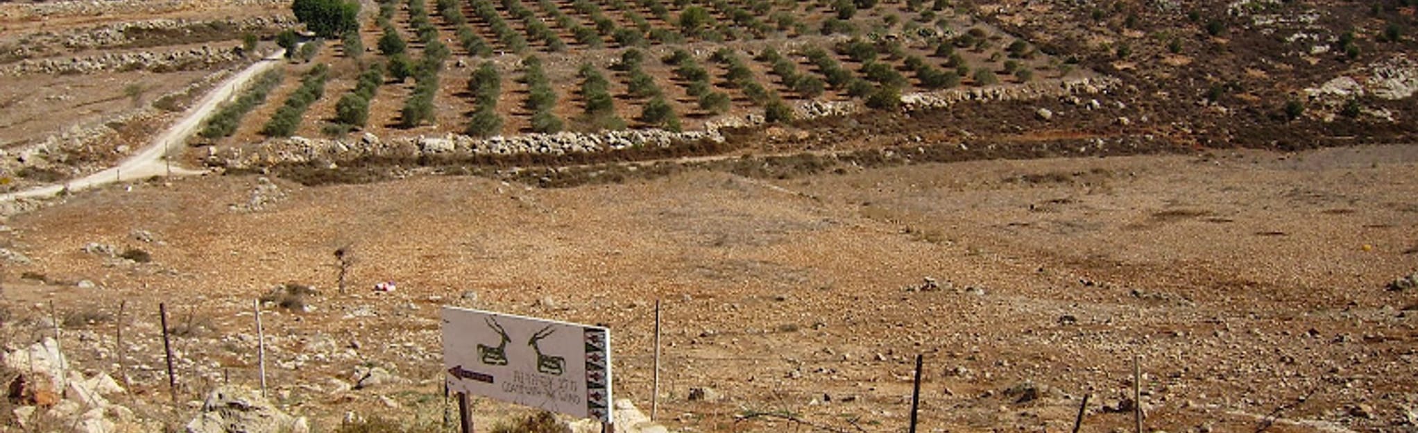 Yodfat East and Tel Yodfat Circuit: 0 Reviews, Map - Northern District ...