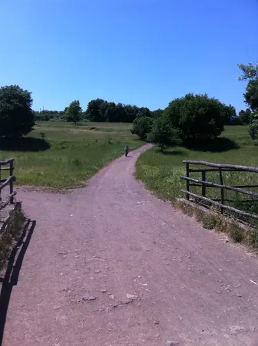 10 Best Walking Trails in Rome | AllTrails