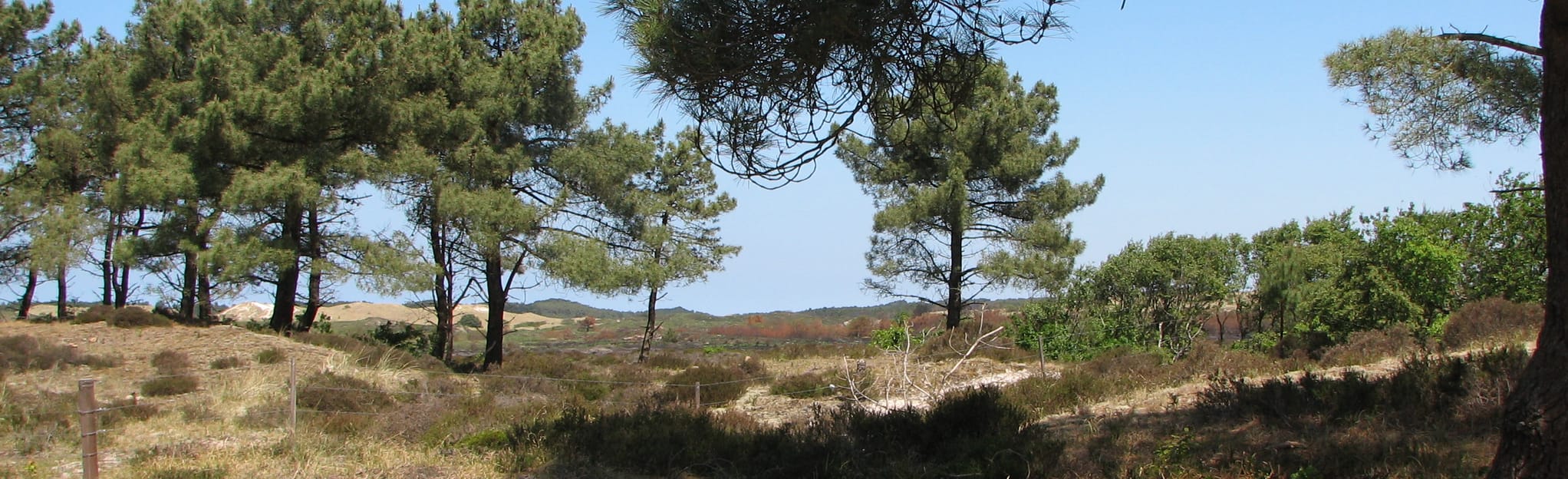 Hargen aan Zee - Schoorlse Duinen: 26 Reviews, Map - North Holland ...