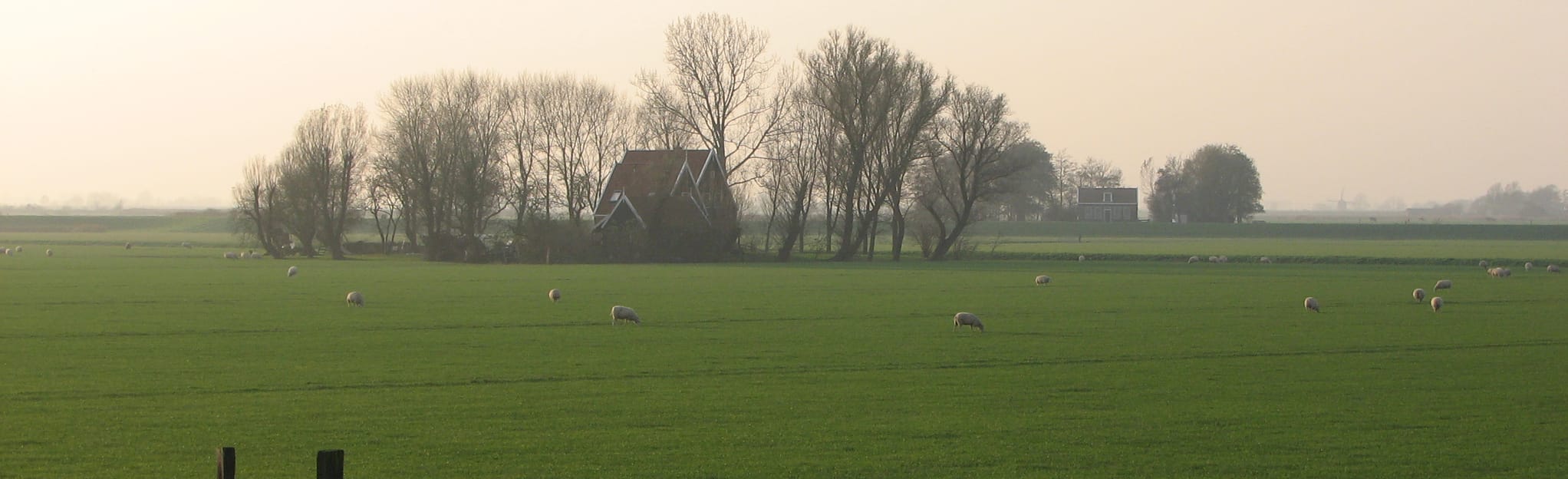 West-Graftdijk - Eilandspolder, North Holland, Netherlands - 4 Reviews ...