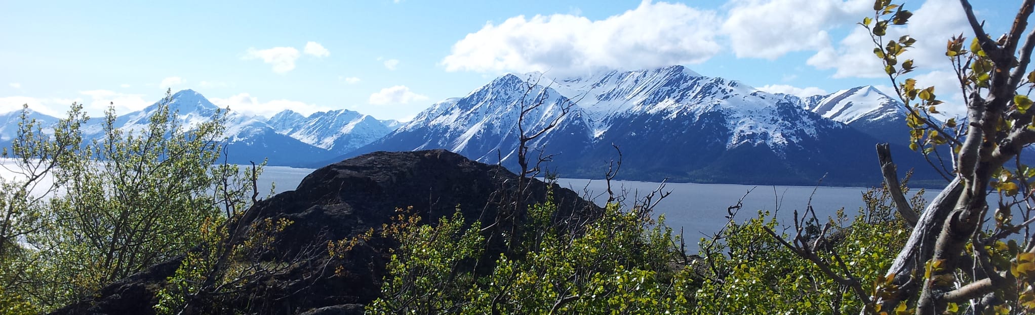 Turnagain Arm Trail: Rainbow Trailhead to Windy Corner Trailhead ...