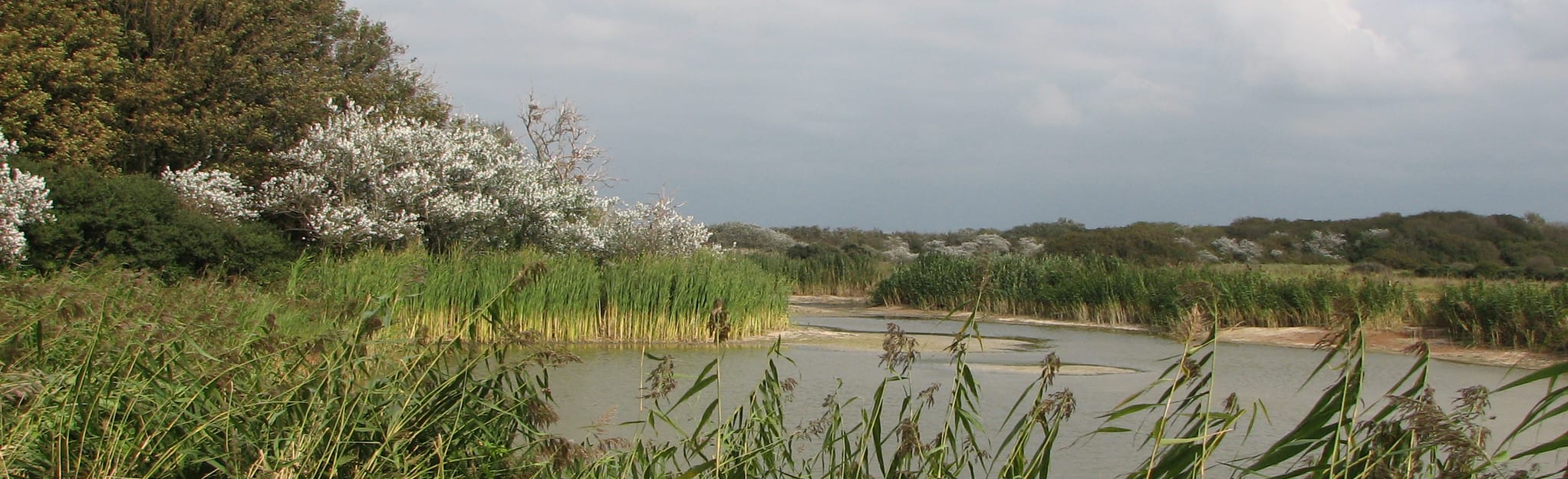 IJmuiden - Egmond aan Zee | Map, Guide - North Holland, Netherlands ...