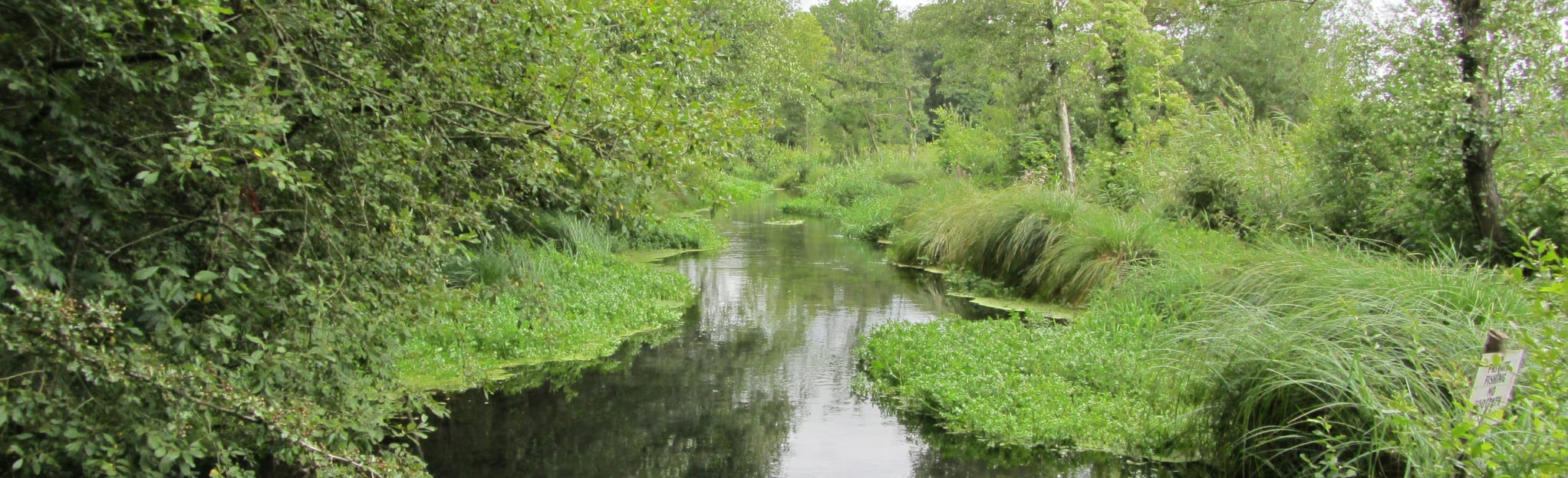 Basingstoke Canal and Odiham Common Circular, Hampshire, England - 44 ...