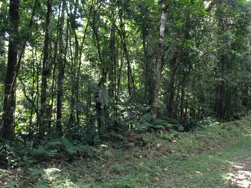 Best Hikes and Trails in Parque Estadual Carlos Botelho | AllTrails