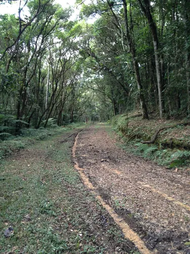 Best Hikes and Trails in Parque Estadual Carlos Botelho | AllTrails