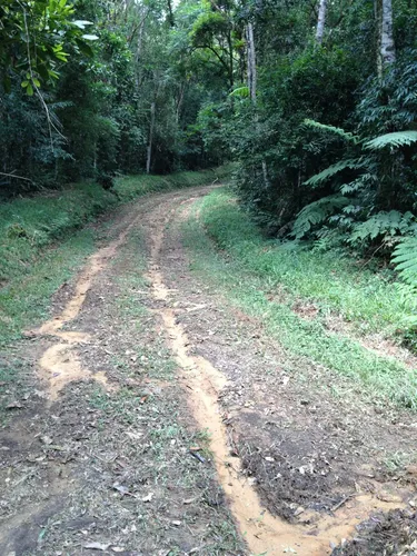 Best Hikes and Trails in Parque Estadual Carlos Botelho | AllTrails
