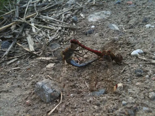 2023 Best Lake Trails in Altrip | AllTrails