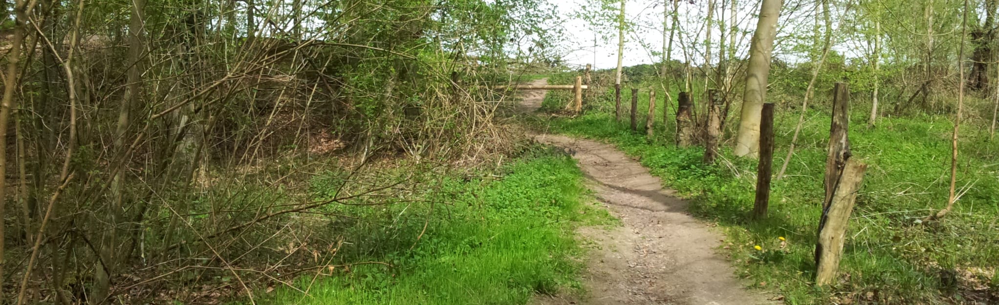 Maarkedal Loop: 9 Reviews, Map - East Flanders, Belgium | AllTrails