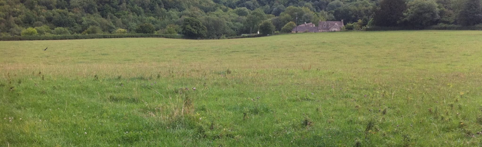 Sapperton Valley Circular: 160 Reviews, Map - Gloucestershire, England ...