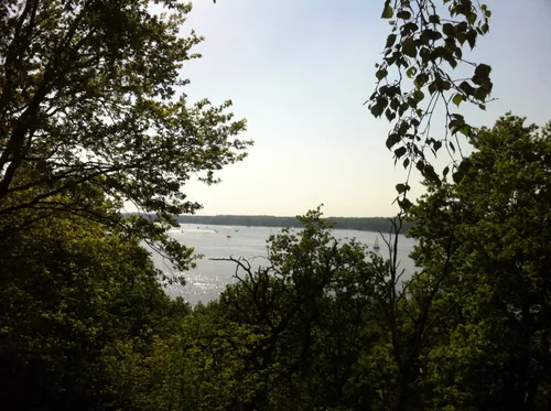 10 Best Forest Trails in Grunewald | AllTrails