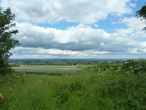 10 Best Easy Trails in Howardian Hills National Landscape (AONB ...