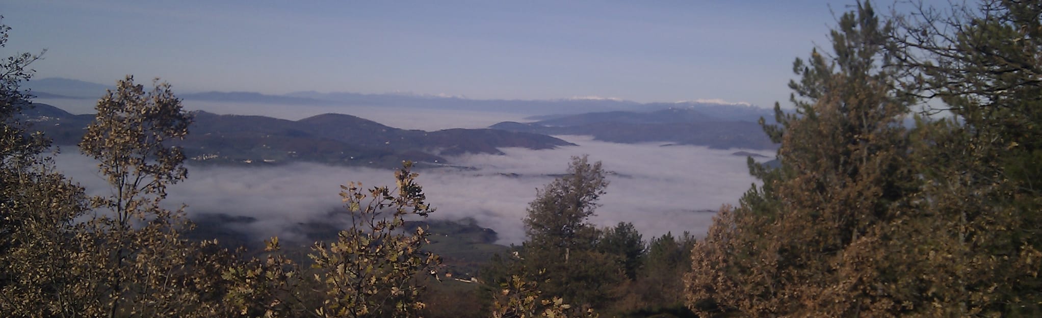 43a Reggello Vallombrosa, Tuscany, Italy - Map, Guide | AllTrails