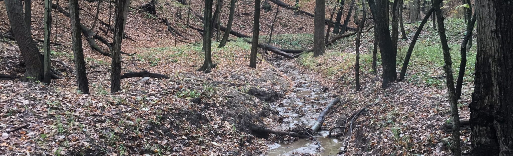 Wake Robin Trail: 182 Reviews, Map - Illinois | AllTrails