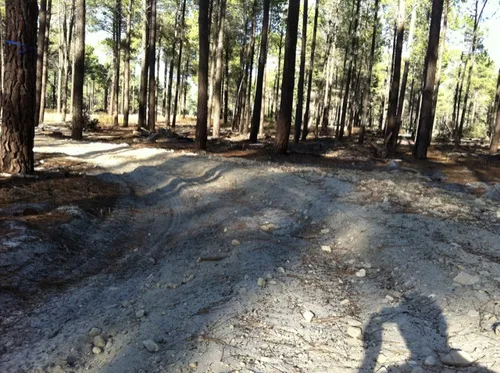 Best Hikes and Trails in Banksia Grove | AllTrails