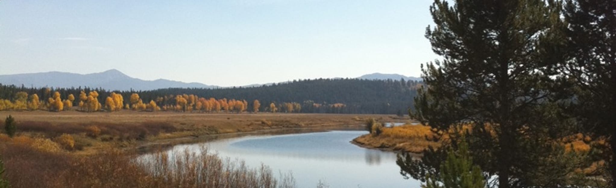 Oxbow Bend Overlook: 71 Reviews, Map - Wyoming | AllTrails