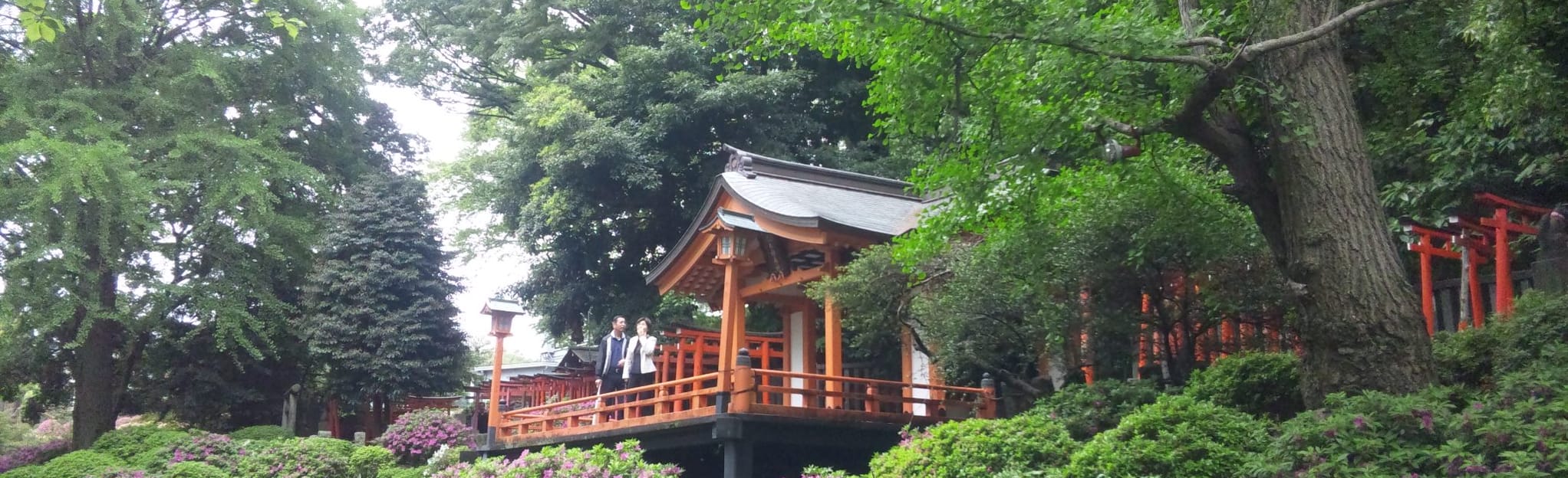 Ueno Station - Nezu Shrine - Nezu Station, Tokyo, Japan - Map, Guide ...