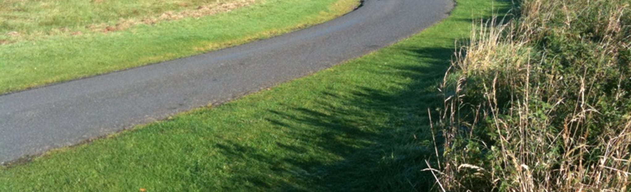 Oxford Island Old Shoreline Walk, Armagh City, Banbridge and Craigavon ...