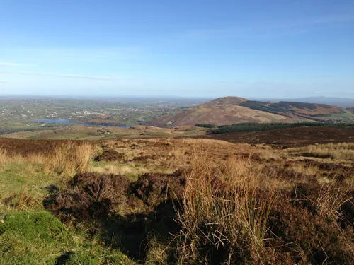 10 Best Forest Trails in Northern Ireland | AllTrails
