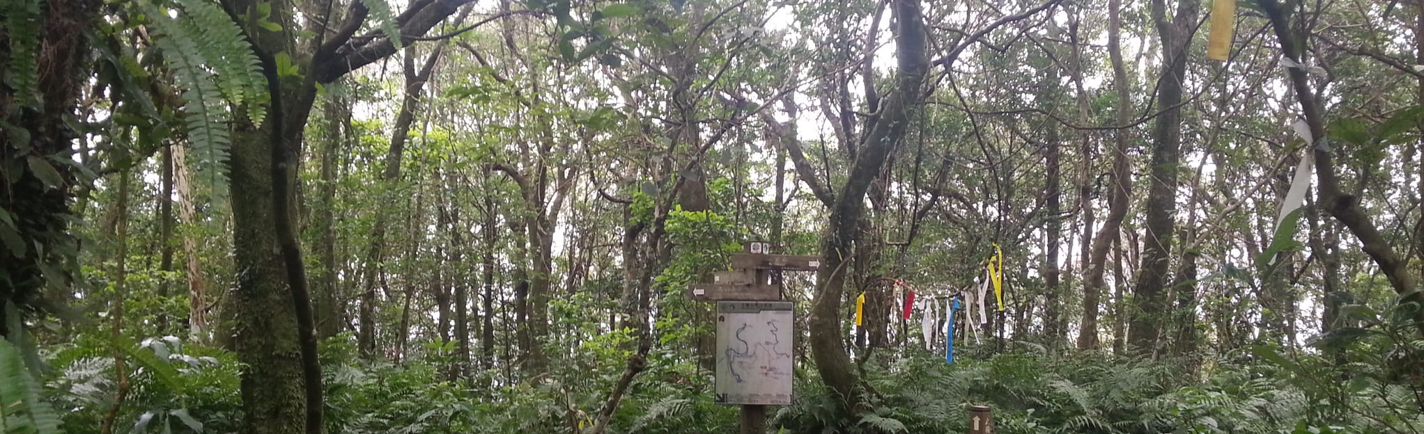 Datong Mountain Trail, New Taipei City, Taiwan - Map, Guide | AllTrails