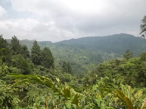 Best 10 Hikes and Trails in Mount Halimun Salak National Park | AllTrails