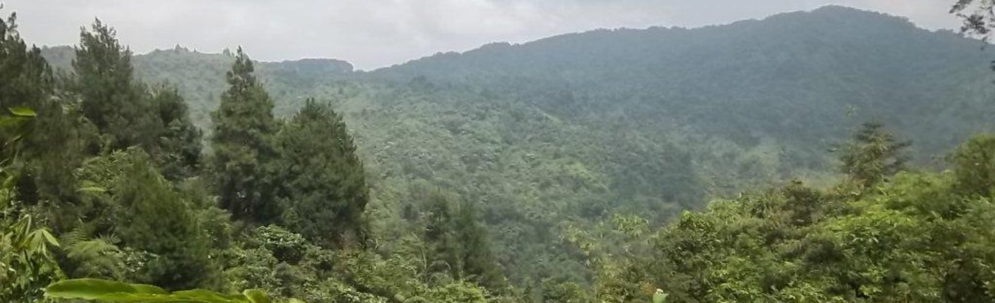 Cianten Loop, West Java, Indonesia - Map, Guide | AllTrails