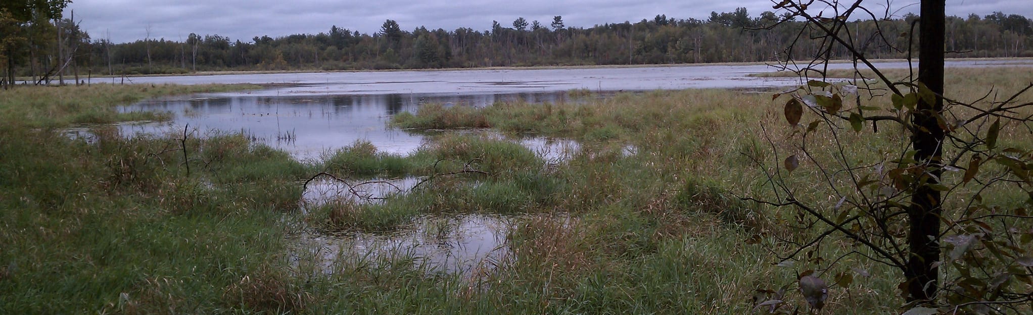 Navarino Loop Trail: 14 Reviews, Map - Wisconsin | AllTrails