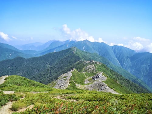 2023 Best 10 Wild Flowers Trails in Minami Alps National Park | AllTrails