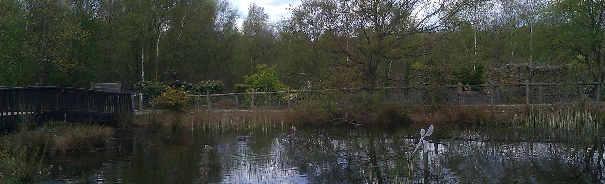 Shorne Woods Circular (Easy Access Trail), Kent, England - 26 Reviews ...