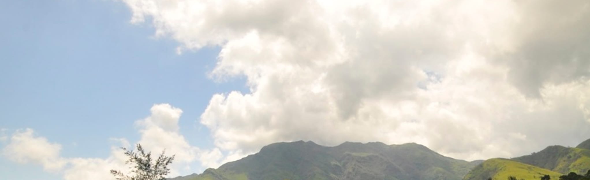 Mount Balingkilat, Zambales, Philippines - 11 Reviews, Map | AllTrails