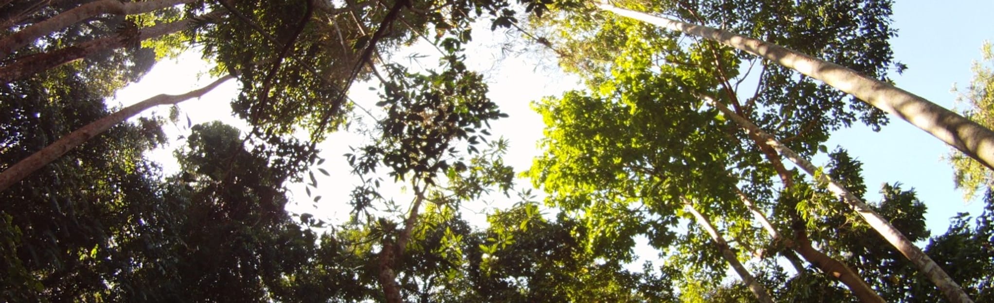 El Kabayo Falls Trail, Bataan, Philippines - 4 Reviews, Map | AllTrails