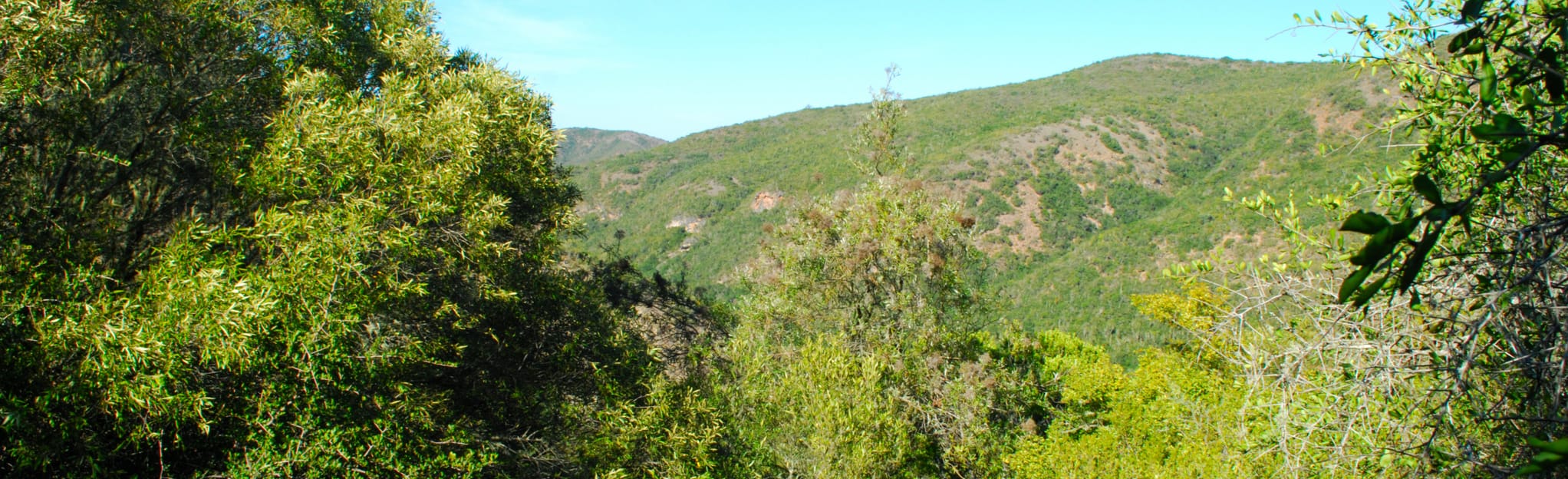 Heuningkloof Trail, Eastern Cape, South Africa - Map, Guide | AllTrails