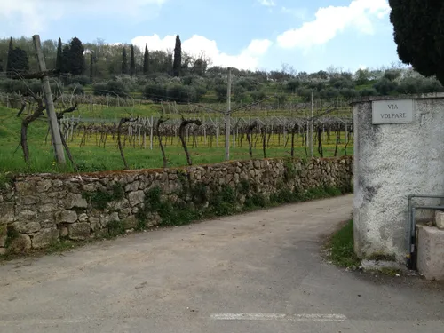 Best Lake Trails in Pescantina | AllTrails