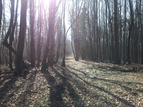2023 Best 10 Views Trails in Chráněná krajinná oblast (CHKO) Bílé ...
