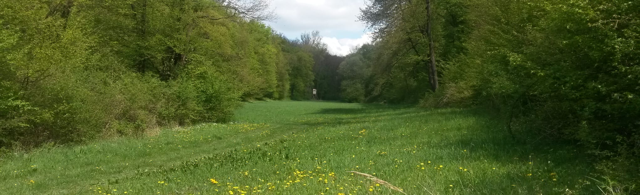 rundumadum-Wanderweg: Etappe 7+8 - Vienna, Austria | AllTrails