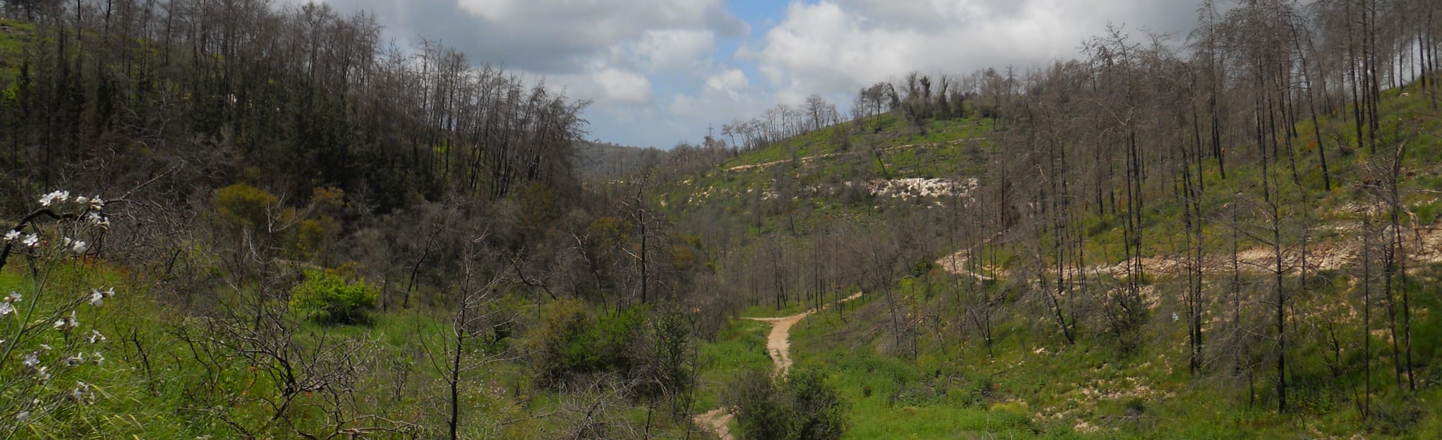 Beit Oren Forest, Little Switzerland via Oren Stream: 8 Reviews, Map ...