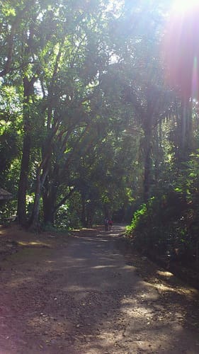 2023 Best Moderate Trails in Taman Hutan Raya Ir. H. Juanda | AllTrails